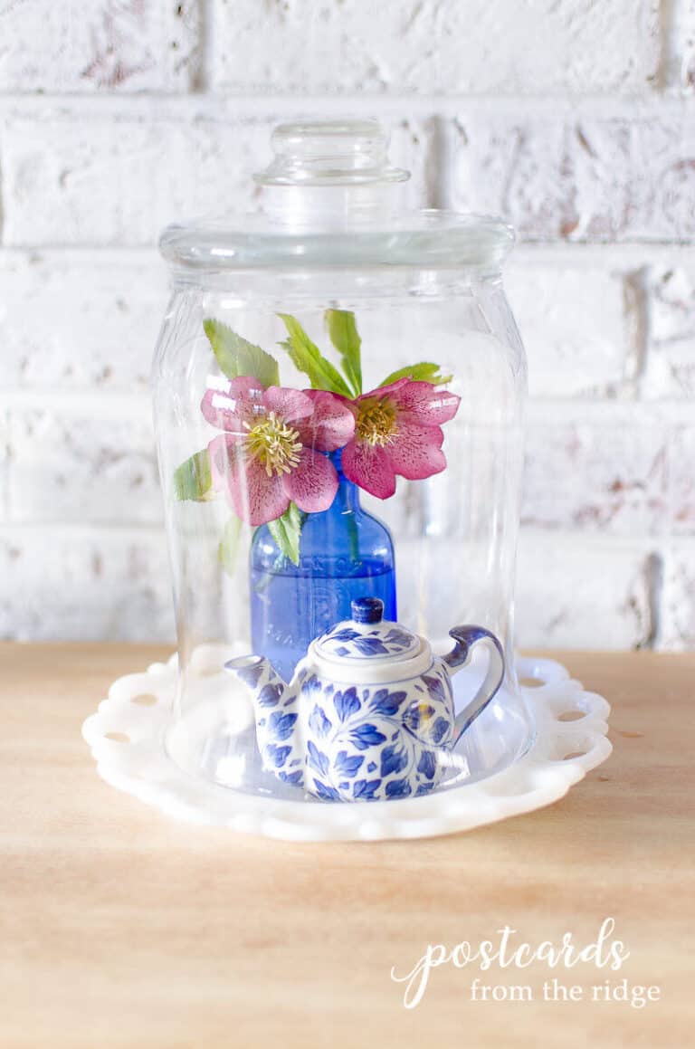 DIY Glass Cloche Plus Display Tips - Postcards from the Ridge