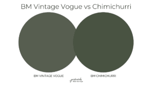 Benjamin Moore Vintage Vogue 462 Ultimate Review & Color Palette ...