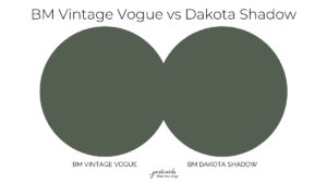 Benjamin Moore Vintage Vogue 462 Ultimate Review & Color Palette ...