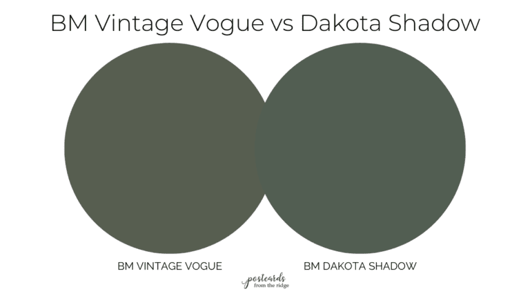 Benjamin Moore Vintage Vogue 462 Ultimate Review & Color Palette ...