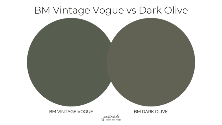 Benjamin Moore Vintage Vogue 462 Ultimate Review & Color Palette ...