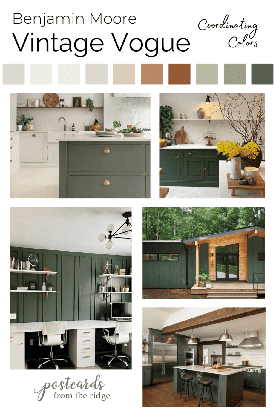 Benjamin Moore Vintage Vogue 462 Ultimate Review & Color Palette ...