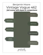 Benjamin Moore Vintage Vogue 462 Ultimate Review & Color Palette ...