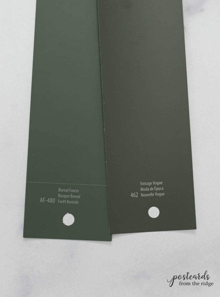 Benjamin Moore Vintage Vogue 462 Ultimate Review & Color Palette ...