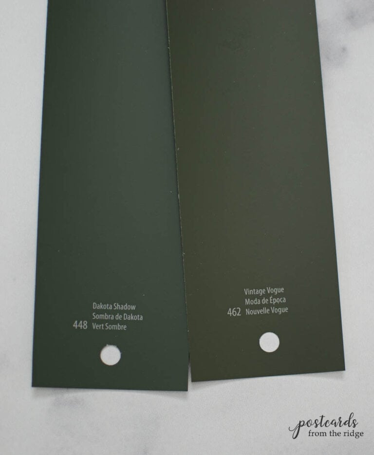 Benjamin Moore Vintage Vogue 462 Ultimate Review & Color Palette ...